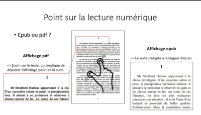 Le livre numérique [Programmation ]