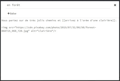 Création de livres interactifs [Programmation ]